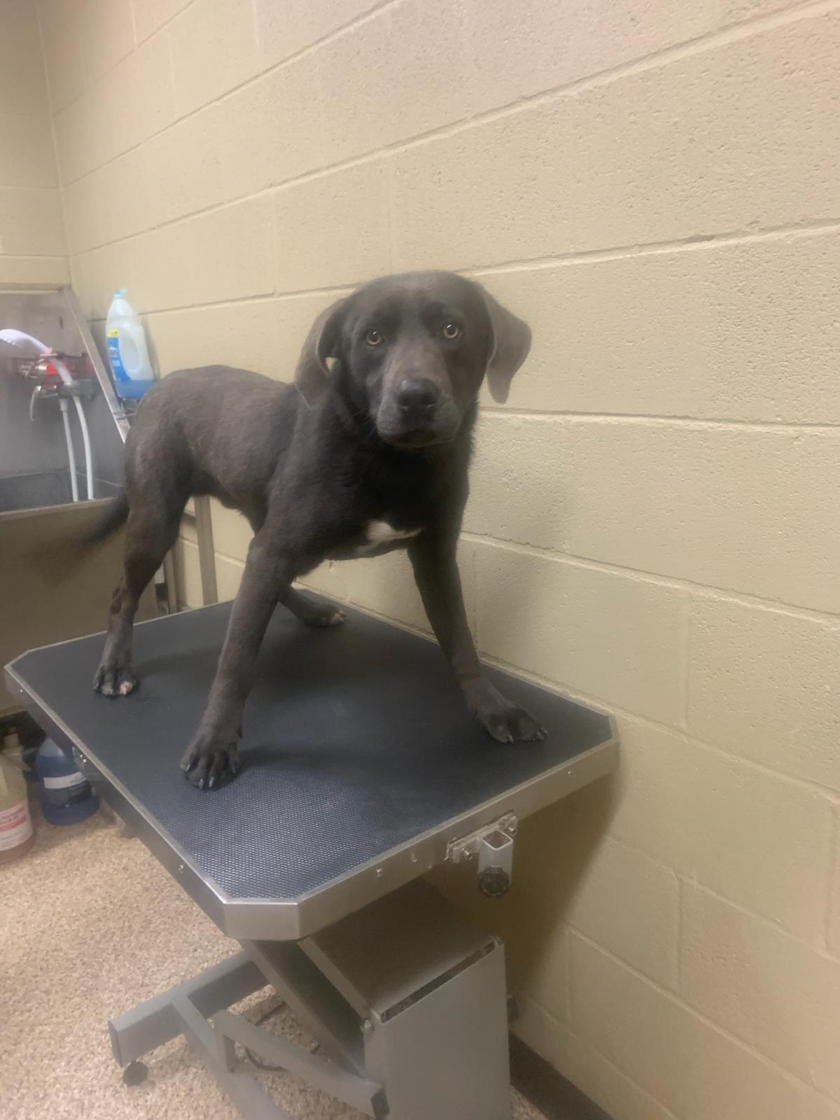 Home [wilson.shelterboss.com]